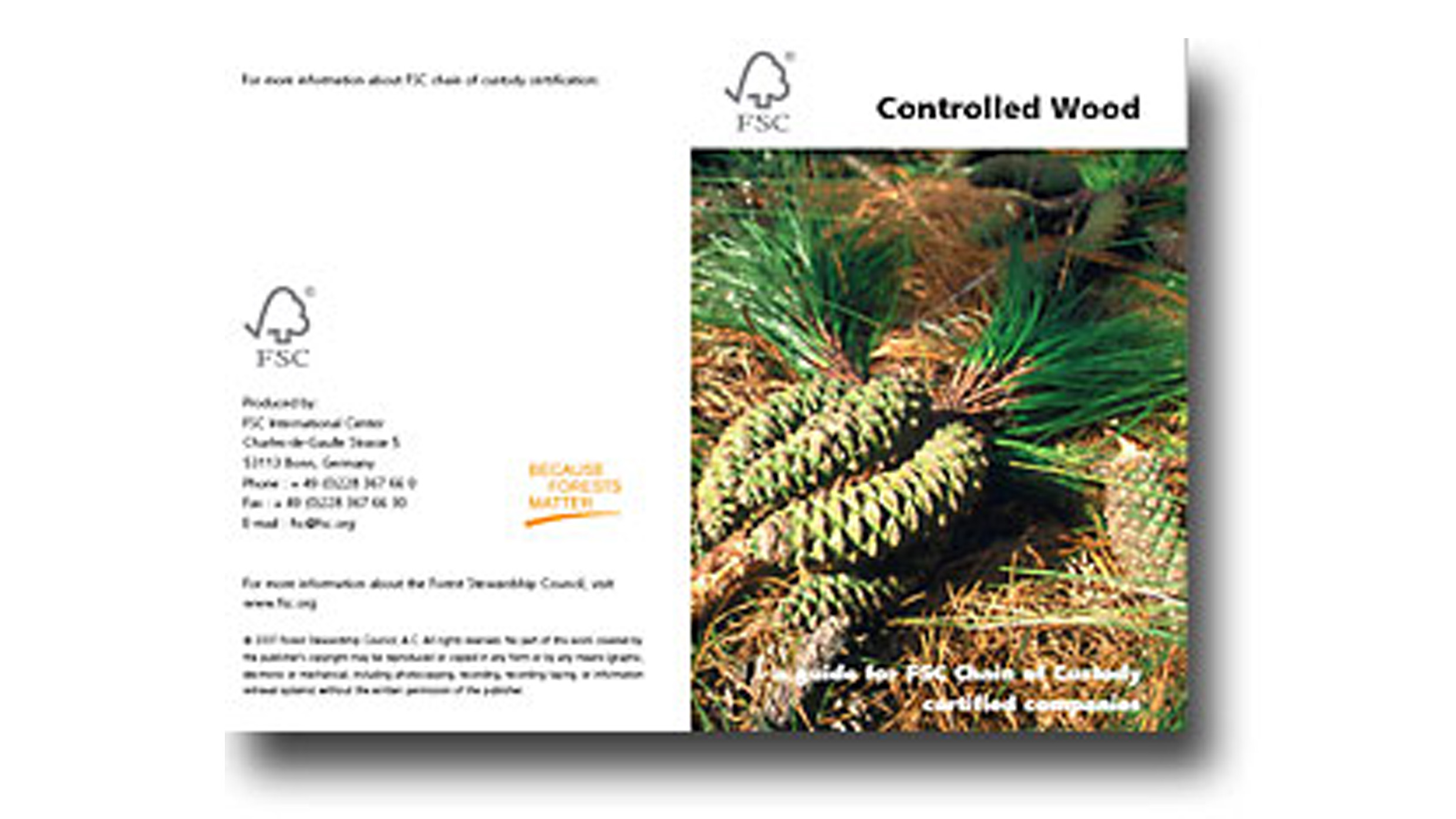 Komité skal revidere FSC's Controlled Wood System | Forest Stewardship ...